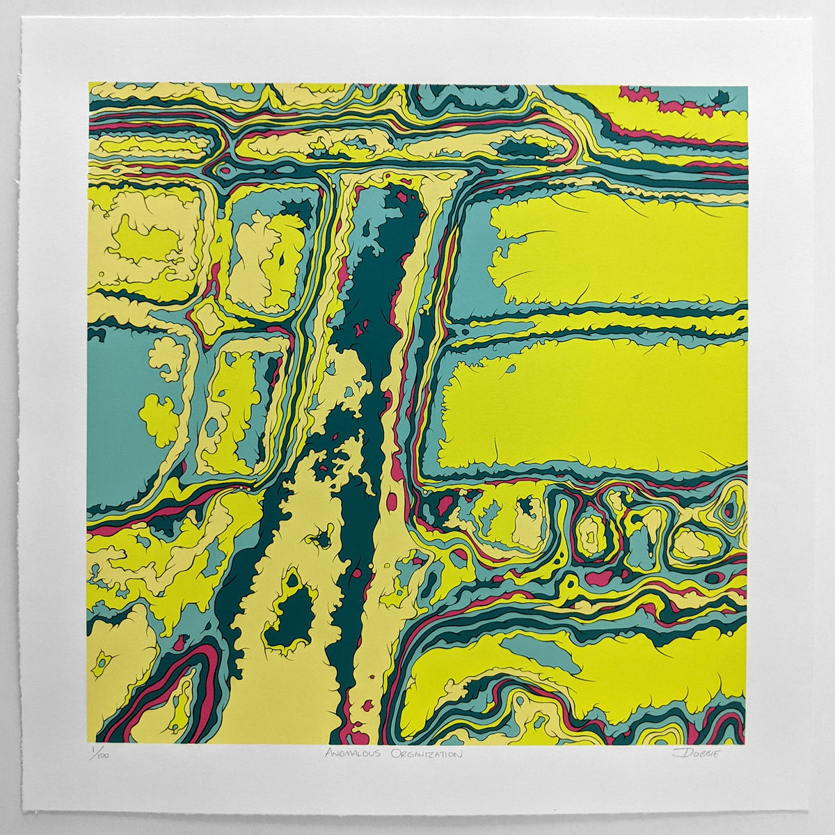 ANOMALOUS ORGANIZATION (regular) by J Dobbie – RARE PRINTS AND POSTERS